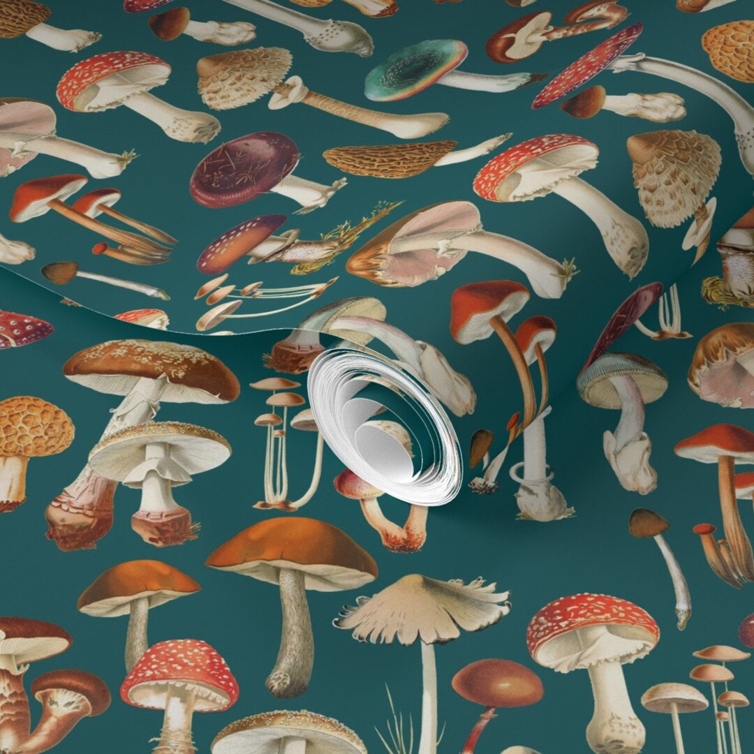 Mushies on Teal Woodland Toadstool Drawer Liner Peel & Stick - Etsy