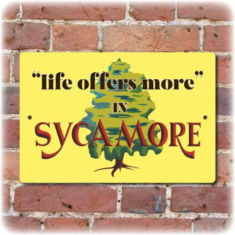 Sycamore Retro Aluminum Sign: "life Offers More" Americana Decor ...