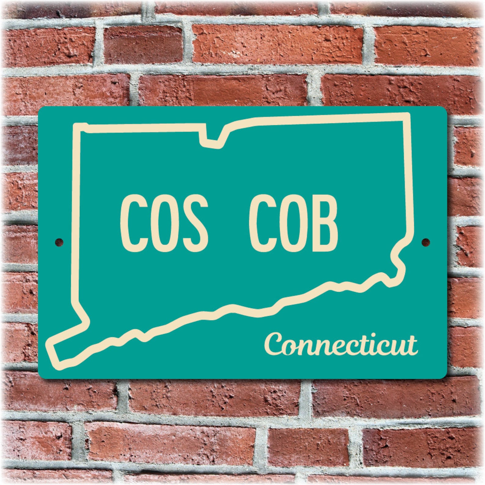 Personalized Connecticut Town Line Sign COS COB Shown - Etsy