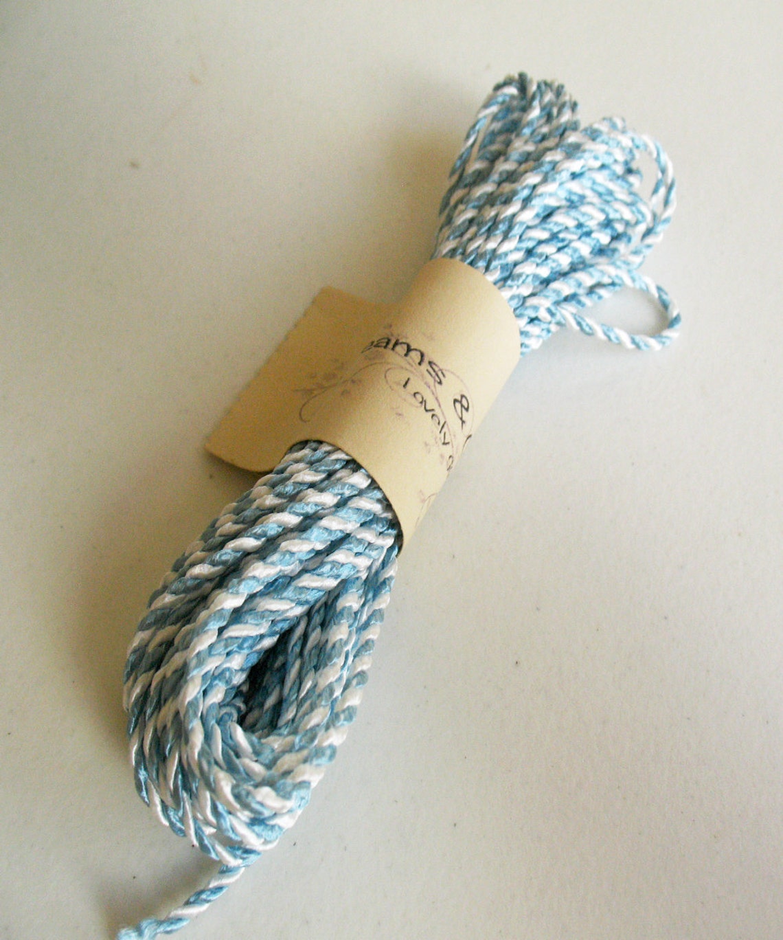 1yd twine Blue with White cord Bright and Silky Twine Cord | Etsy