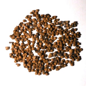 Acorn Buds-1 Oz. to 4oz Bag Acorn Buds-crafts - Etsy