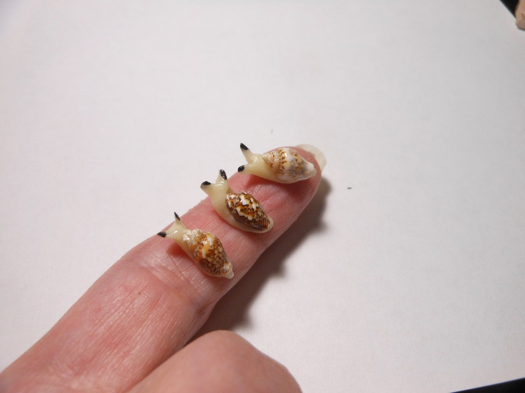 Tiny Glow in the Dark Snails- Set of 3 Polymer Clay Snails- 1/2" to 5/8 ...