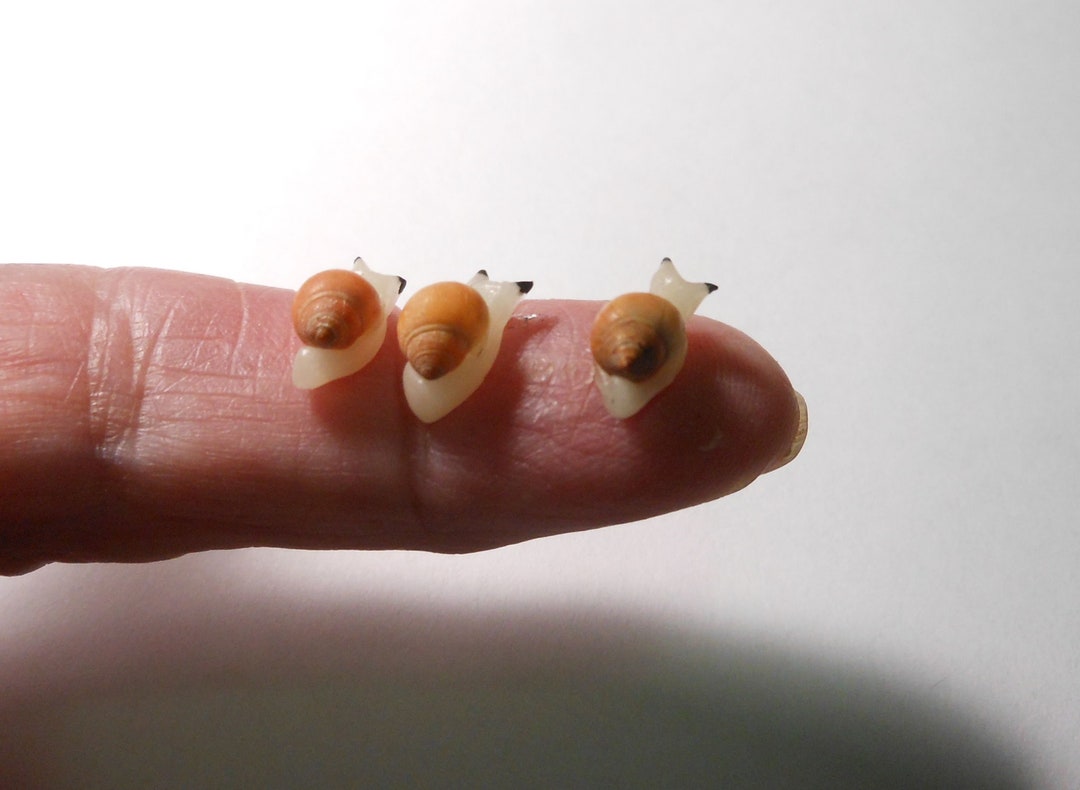 Tiny Glow Snails-one, Two or Three Polyner Clay Snails- Micro-mini Glow ...