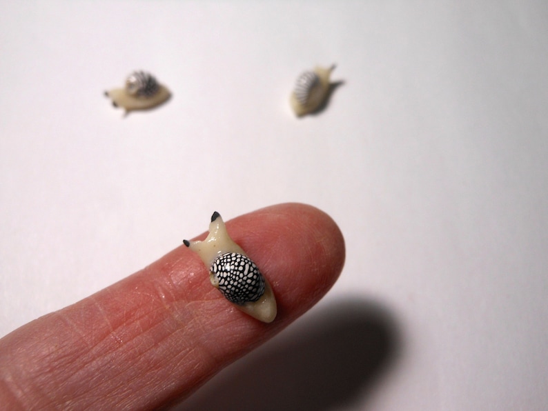 Snails- Set of 3 Teeny Tiny Polymer Clay 3/8" Glow in the Dark Snails ...