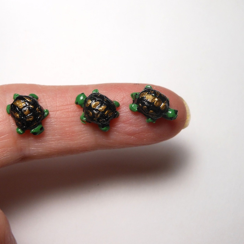 Tiny Turtle - Etsy