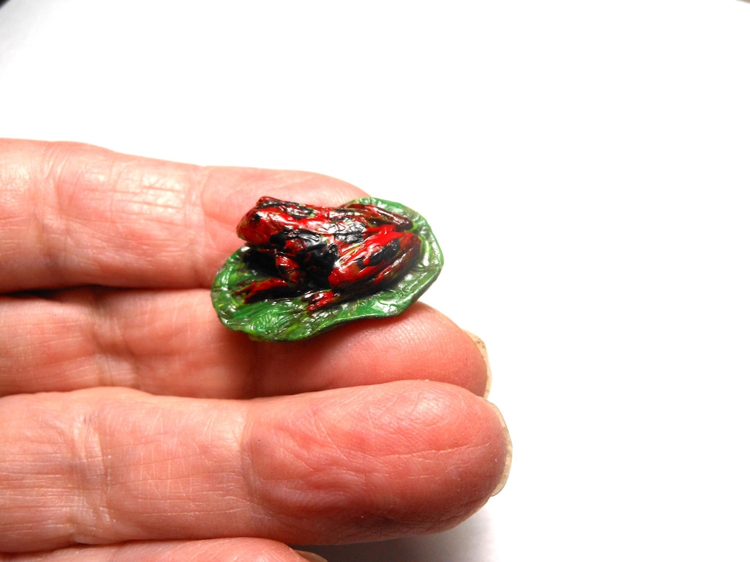 Poison Dart Frog on Lily Pad-polymer Clay Frog - Etsy