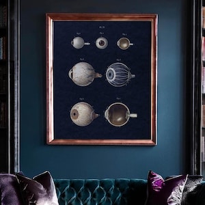 Vintage French Eyes Anatomy Print, Antique Eyeballs Poster, Optometry Optometrist Eye Doctor ...