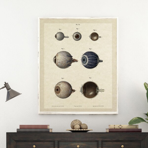 Antique Optometrist - Etsy