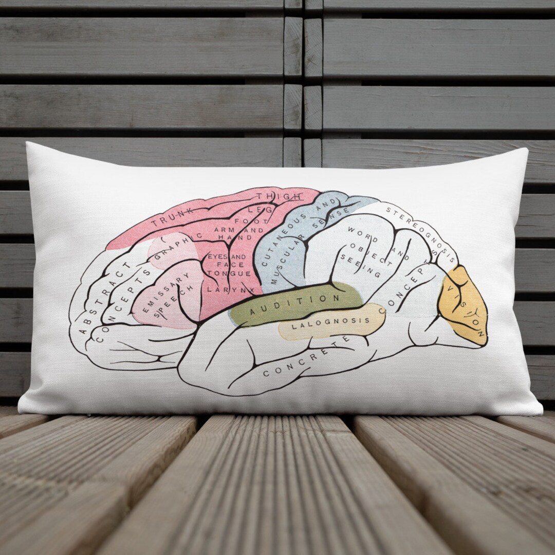 Functions of the BRAIN Throw Pillow, Vintage Anatomy Illustration ...