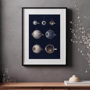 Vintage French Eyes Anatomy Print, Antique Eyeballs Poster, Optometry ...