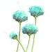 Flower Art, Flower Print, Blue, Mint Green, Flower Watercolor ...