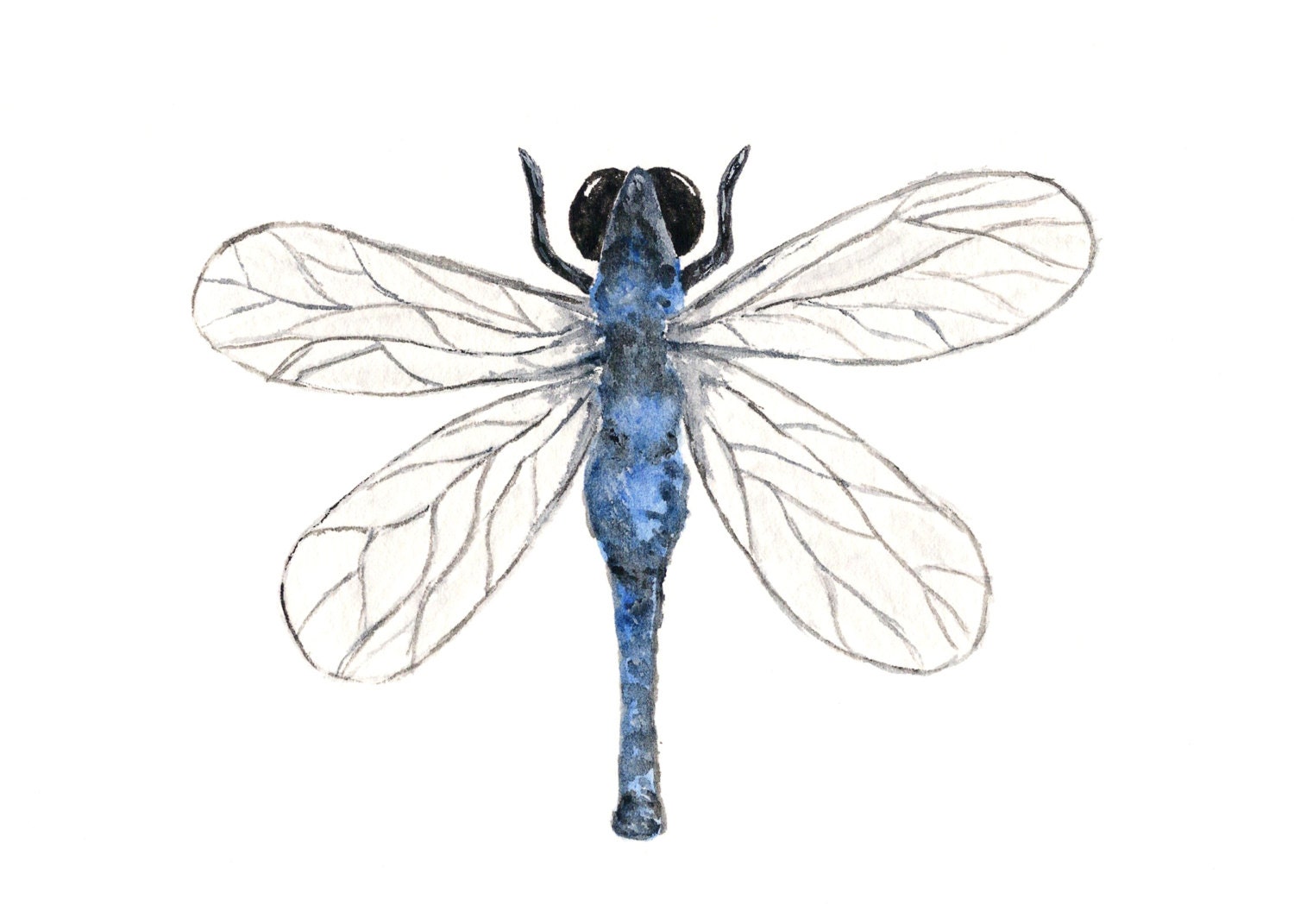 Watercolor Painting, Dragon Fly, Dragon Fly Painting, Watercolor Dragon ...