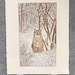 Bobcat Block Print - Etsy