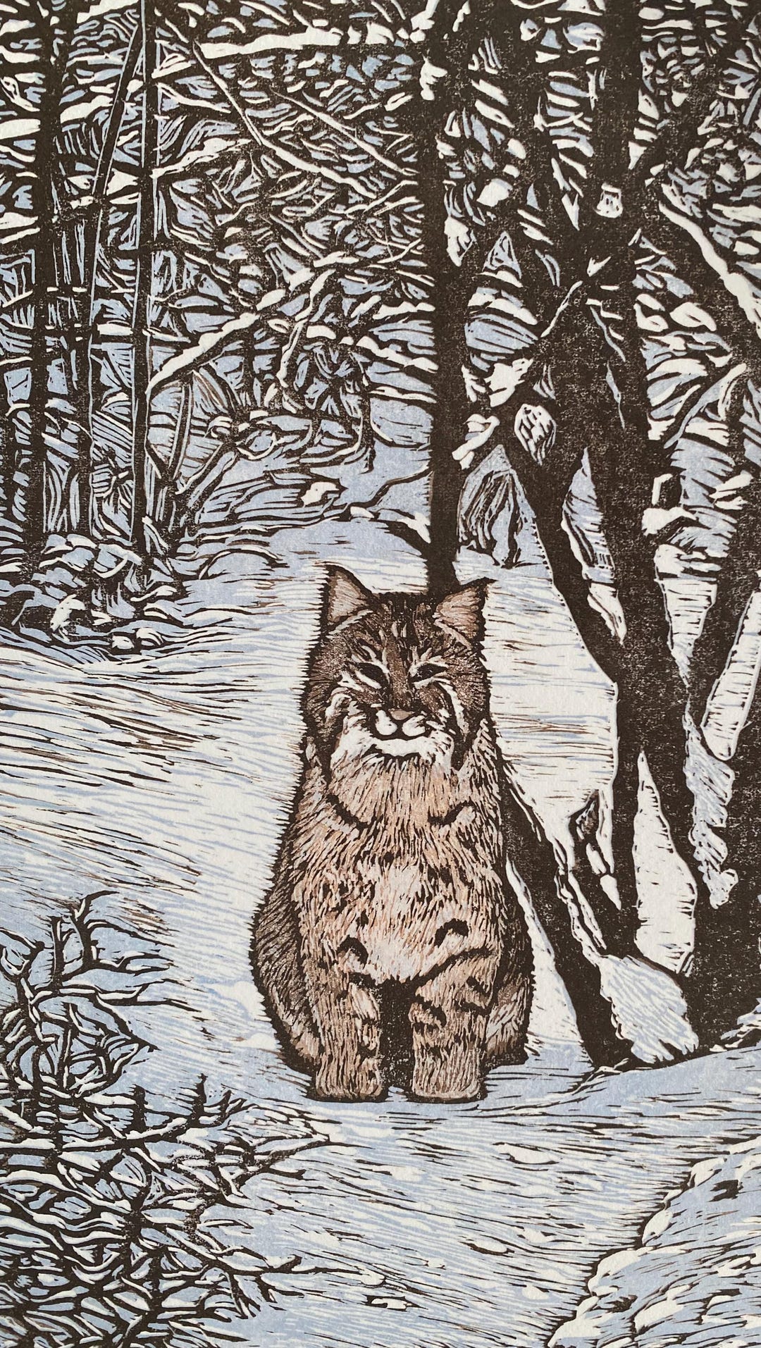 Bobcat Block Print - Etsy