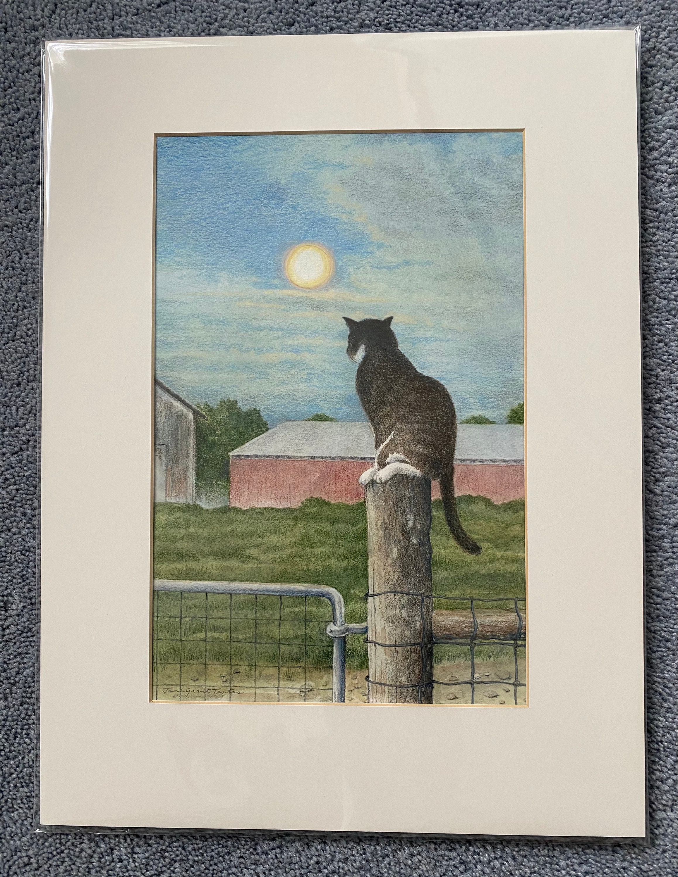 Cat on Post Watercolor and Colored Pencil Illustration - Etsy