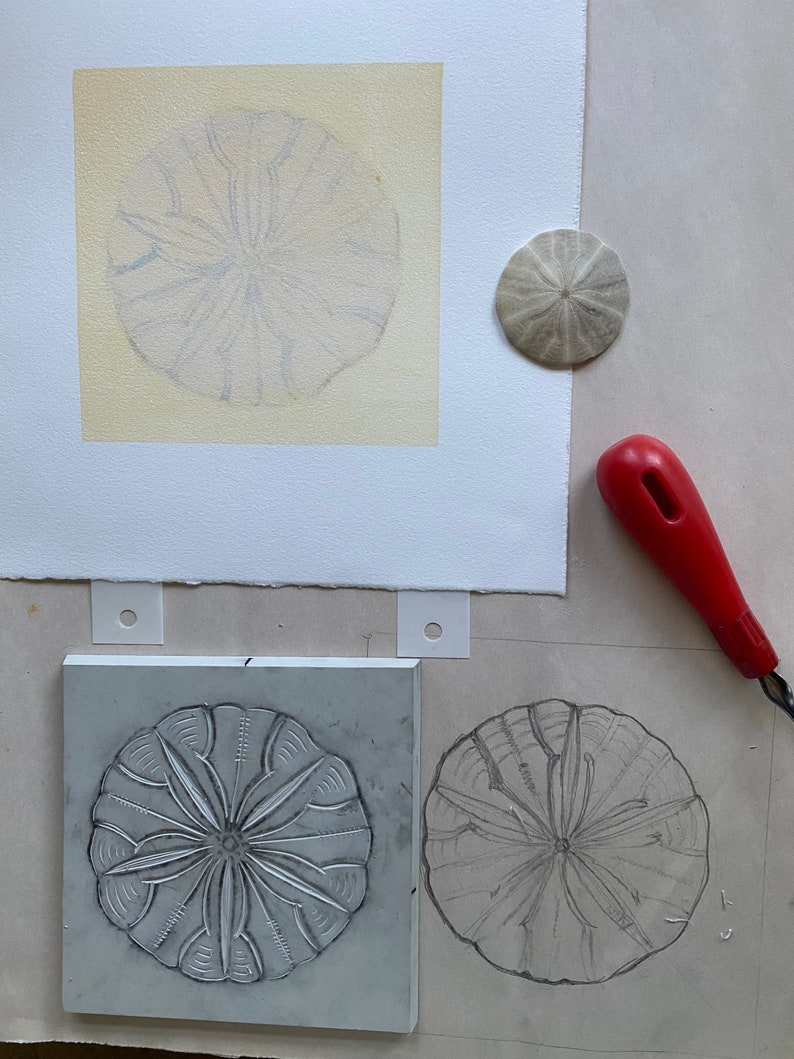 Sand Dollar Block Print - Etsy