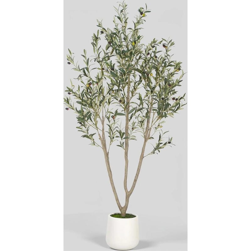 Olive Tree Planters - Etsy