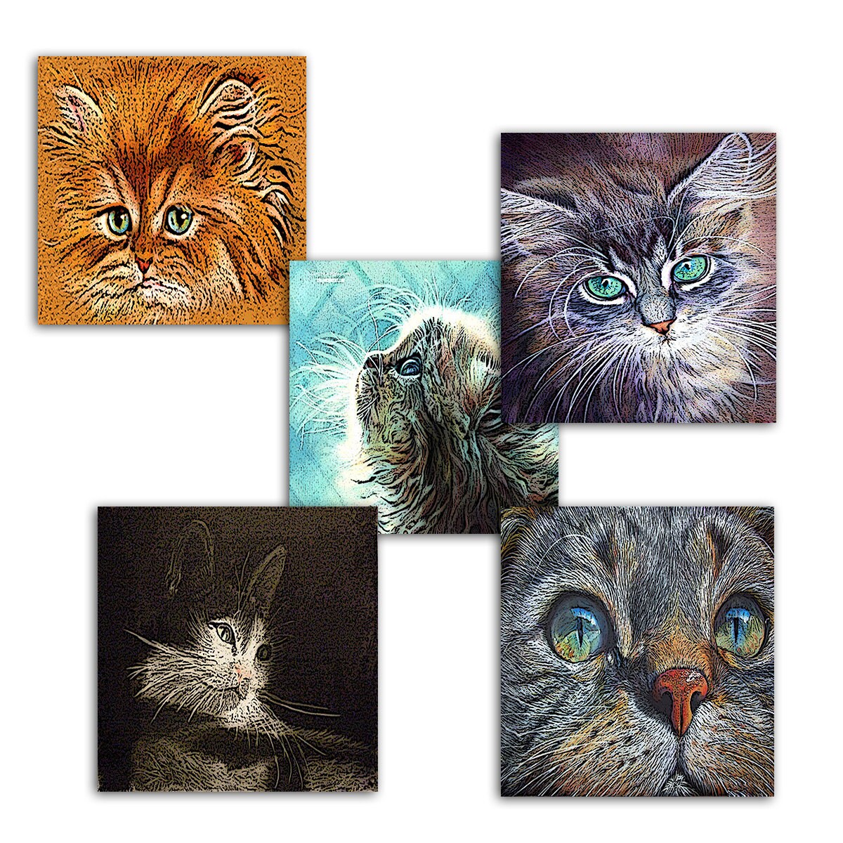 Print Cat Drawings Digital Colours Special Pack Download Digital ...