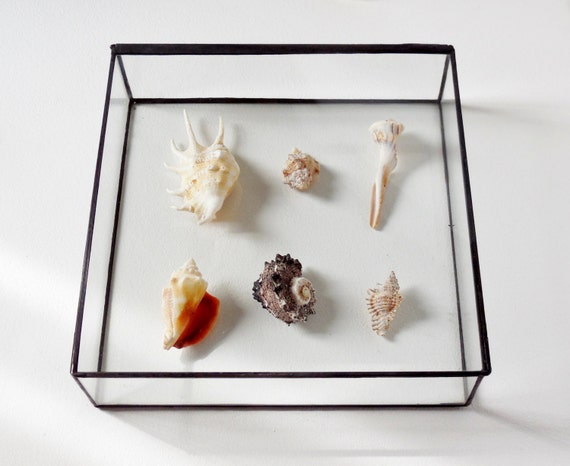 Large Glass Box Display - Glass Designs