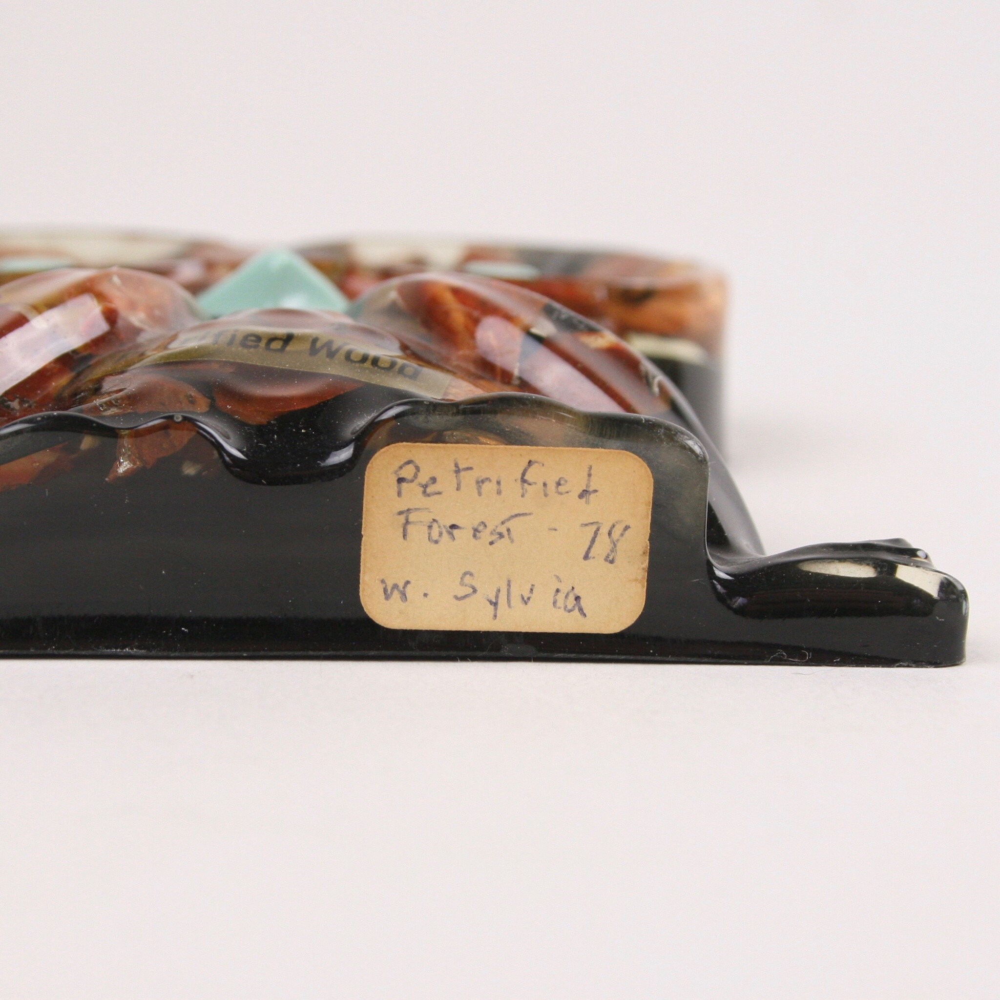 Petrified Forest Resin Owl Plaque With Embedded Petrified - Etsy