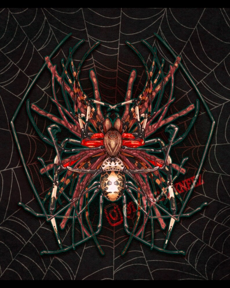Nothing but Legs Spider Spiders Web Creepy Crawly Spooky Halloween - Etsy