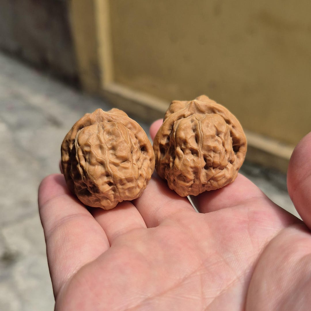 Wenwan Walnut Pair, Toad Head Walnuts, Meditation Walnuts 38~40 - Etsy