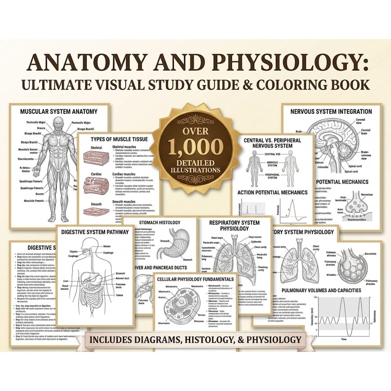 Anatomy and Physiology Notes Mega Bundle Vol 1 & 2, Nursing School Note ...