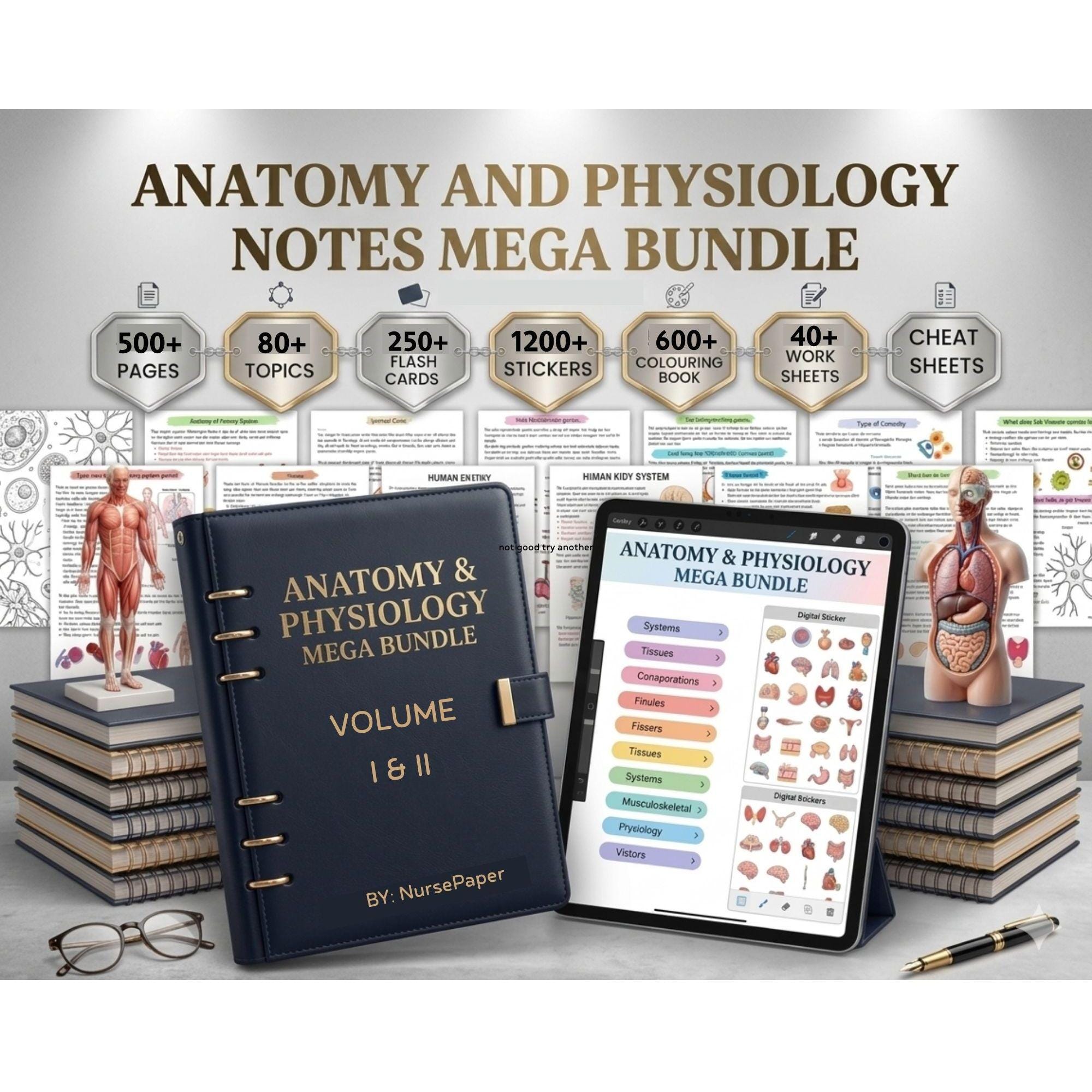 Anatomy and Physiology Notes Mega Bundle Vol 1 & 2, Nursing School Note ...