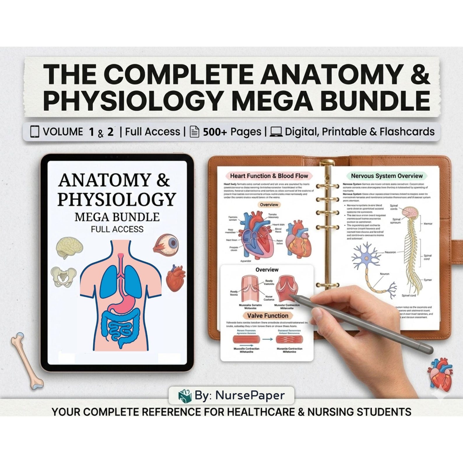 Anatomy and Physiology Notes Mega Bundle Vol 1 & 2, Nursing School Note ...