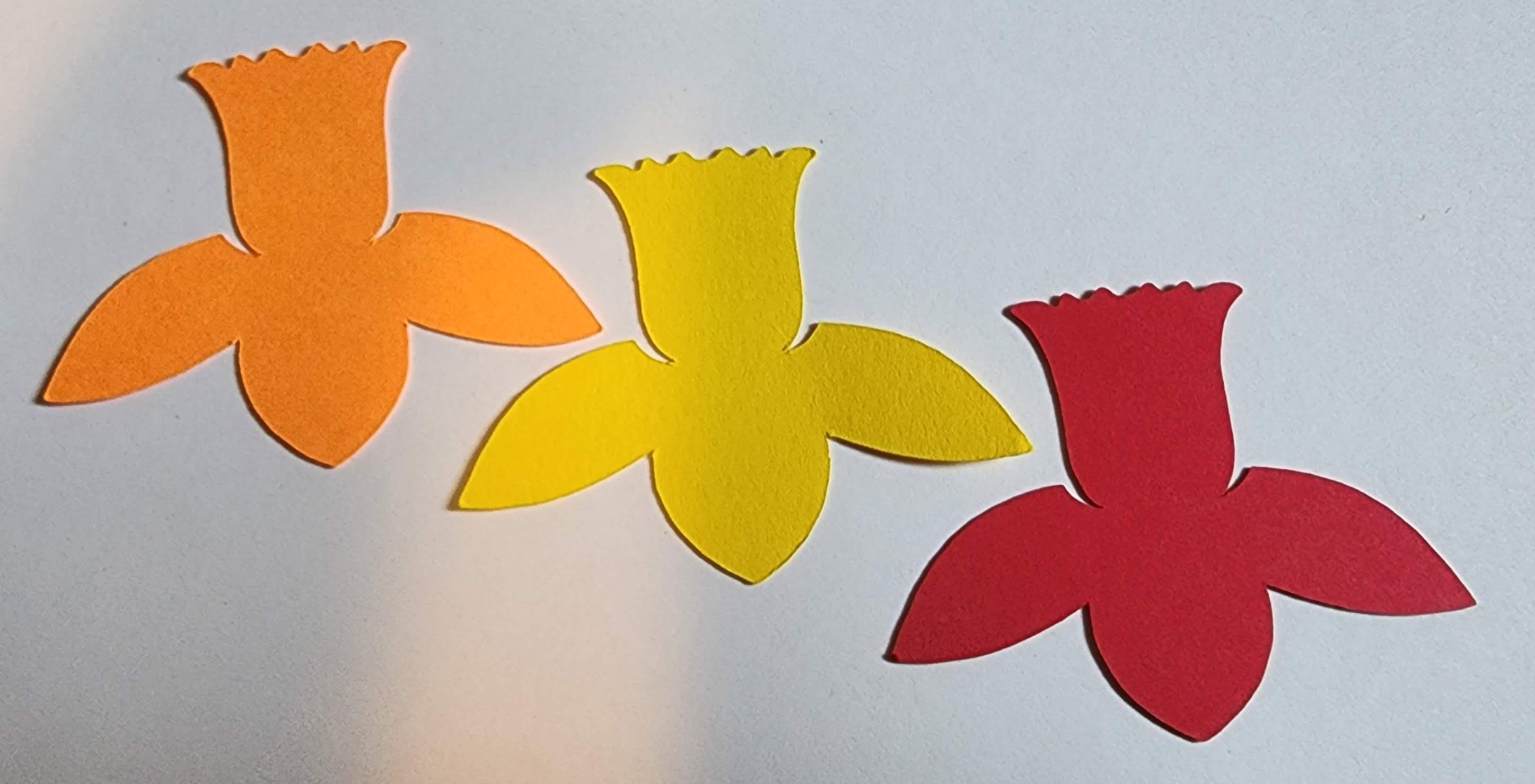 25 Pack Paper Flower Shape, Flower Cut Out Die, Cardstock Flower, DIY ...