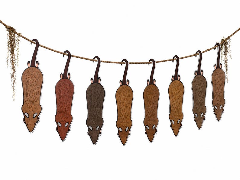 Shrek Rats Banner – Shrek Swamp Party Decor (PDF & PNG) Digital File - Etsy