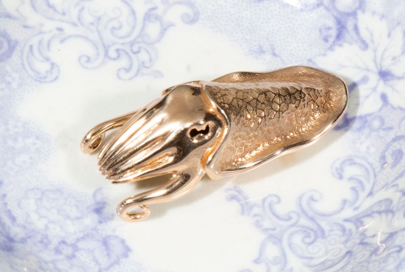 Cuttlefish Pendant -- Cute or Just a Little Scary? Polished Bronze or ...
