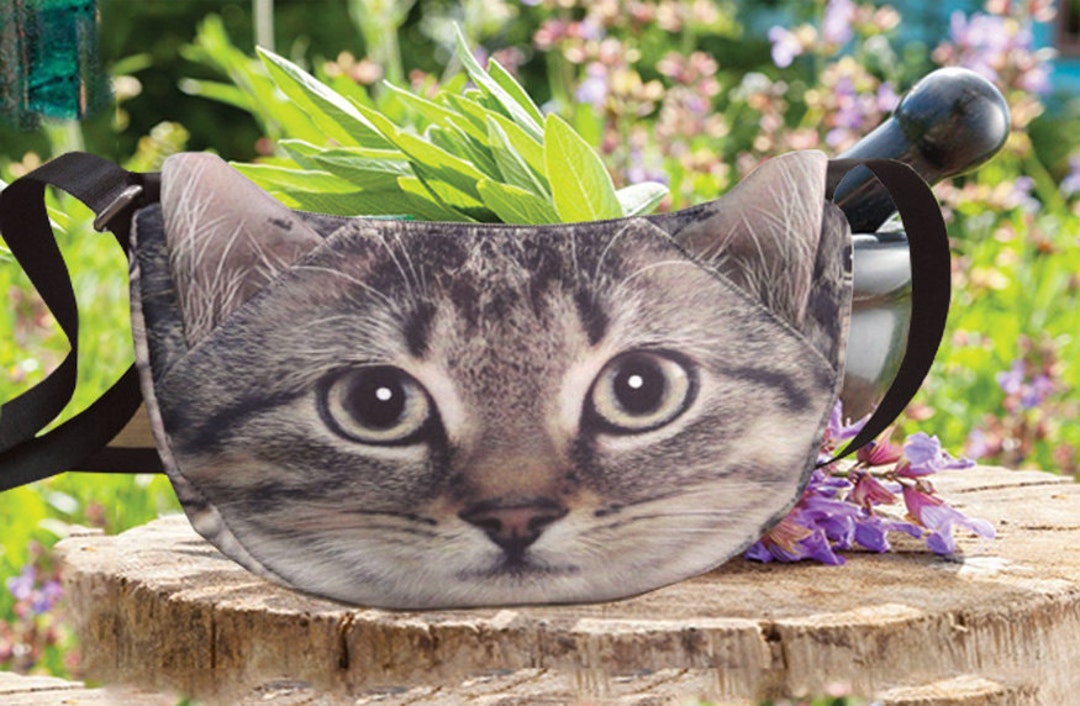 Tabby Cat Bag Cat Purse Cat Bag Kitty Purse Shoulder Bag - Etsy