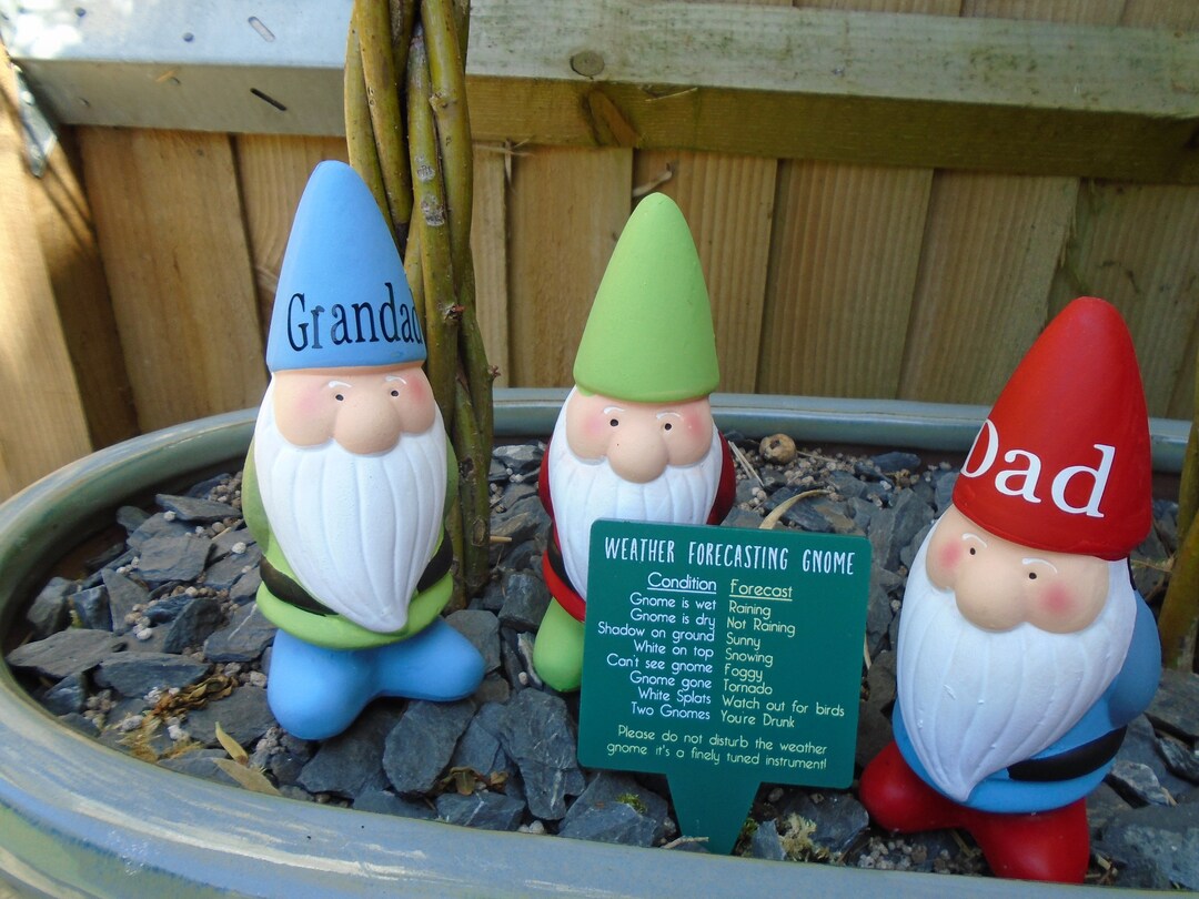 Personalized Weather Forecasting Gnome: Novelty Garden Ornament - Etsy UK