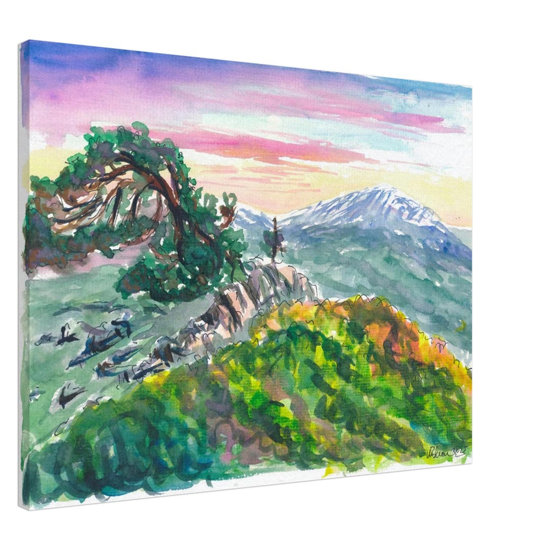 Lone Pino Loricato Overlooking Pollino's Majestic Peaks - Limited ...