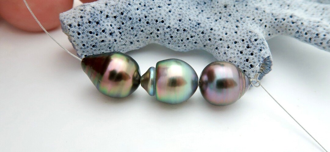 Incredibly Stunning Intense Colorful Tahitian Rikitea Mangareva Gambier ...