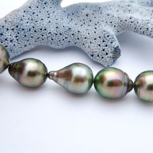 Stunning Super Colorful Rikitea Mangareva Gambier Cultured Pearls, Rare ...