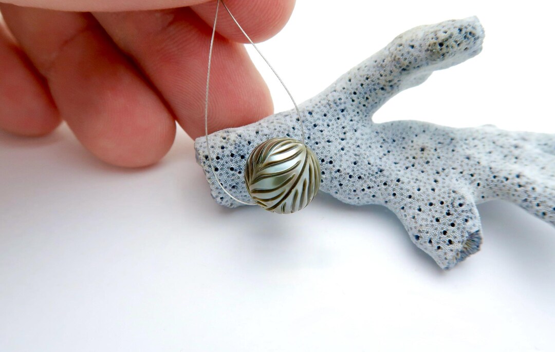 Rare Exquisite AA+ Tahitian Metallic Silver Cream Iridescent Carved ...