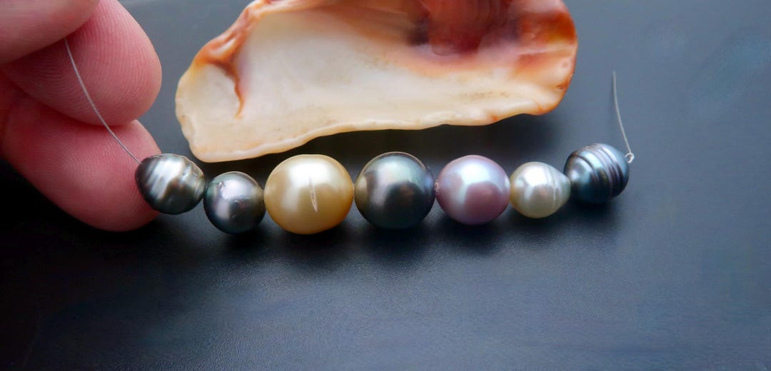 7pc Exquisite Mixed Pearl Set; Tahitian, South Sea, Akoya & Freshwater ...