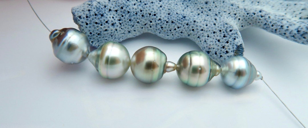 Incredibly Stunning Rikitea Mangareva Gambier Cultured Pearls - Etsy