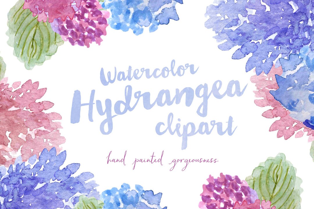 Hydrangea Watercolor Hand Painted Clipart Clip Art - Personal and ...