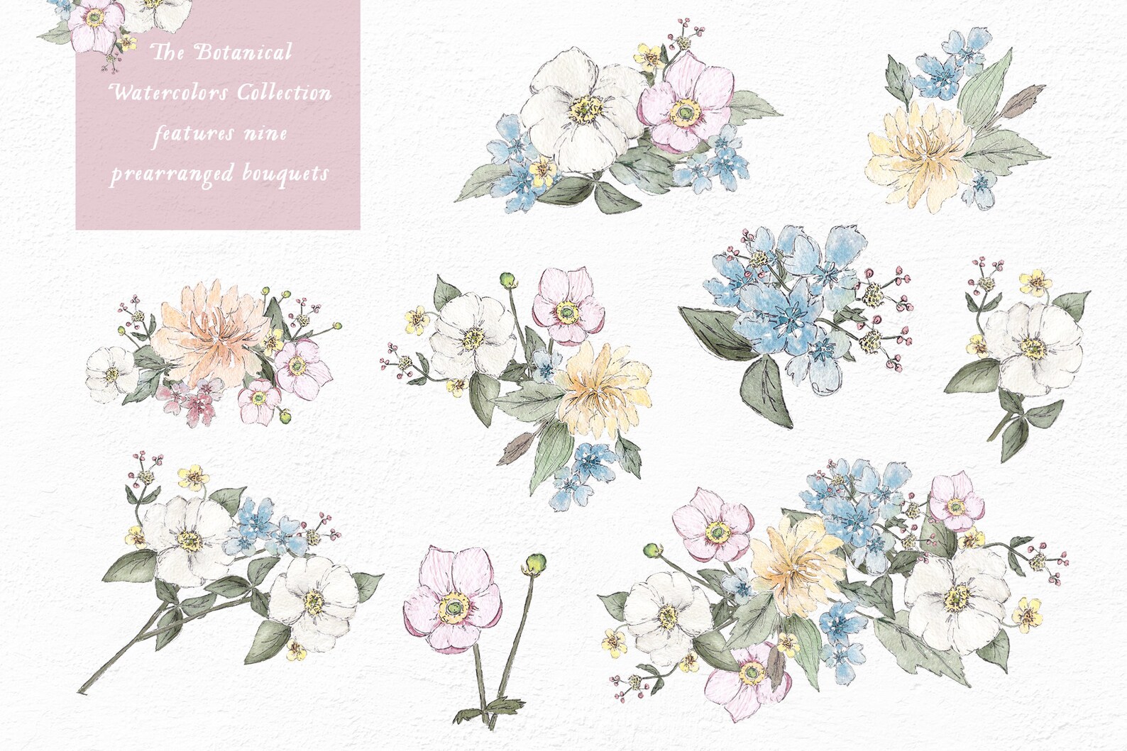 Botanical Flowers Watercolor Clipart Vintage Clip Art Hand - Etsy