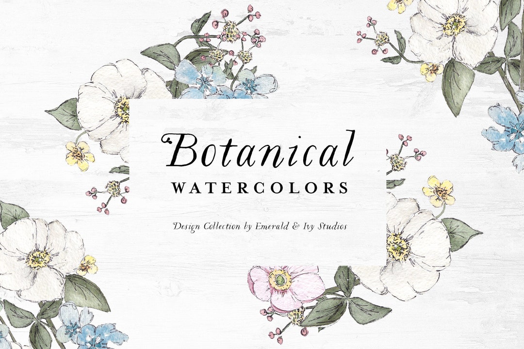 Botanical Flowers Watercolor Clipart - Vintage Clip Art Hand Painted ...