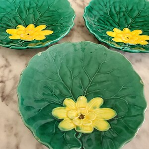 Elegant Lily Pad Plates Gallery