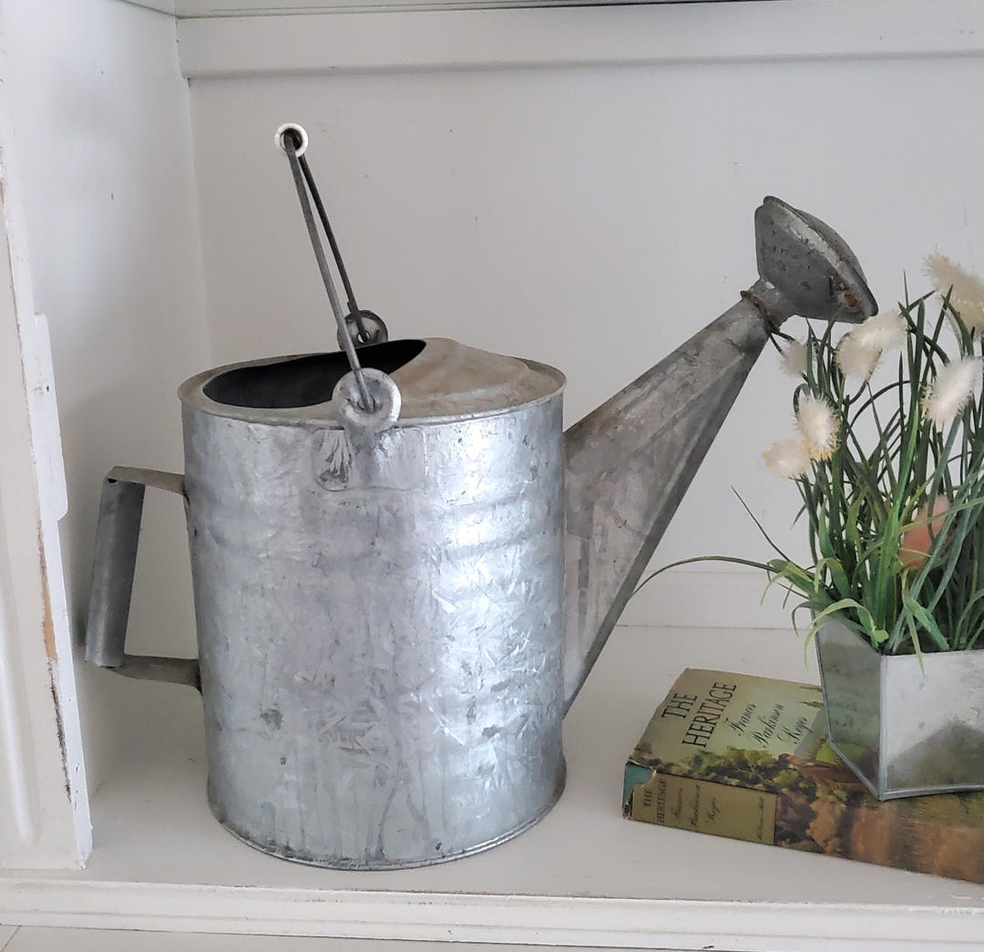 Old Rusty Watering Can - Galvanized Watering Can - Fun Home Decor ...