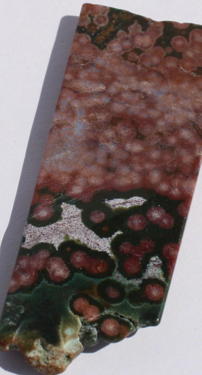 Rare Orbicular Ocean Jasper - Rainbow Sea Jasper With Bright Orbs ...