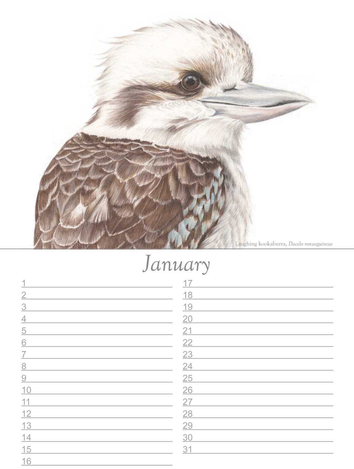 Australian Birds Perpetual Calendar - Etsy