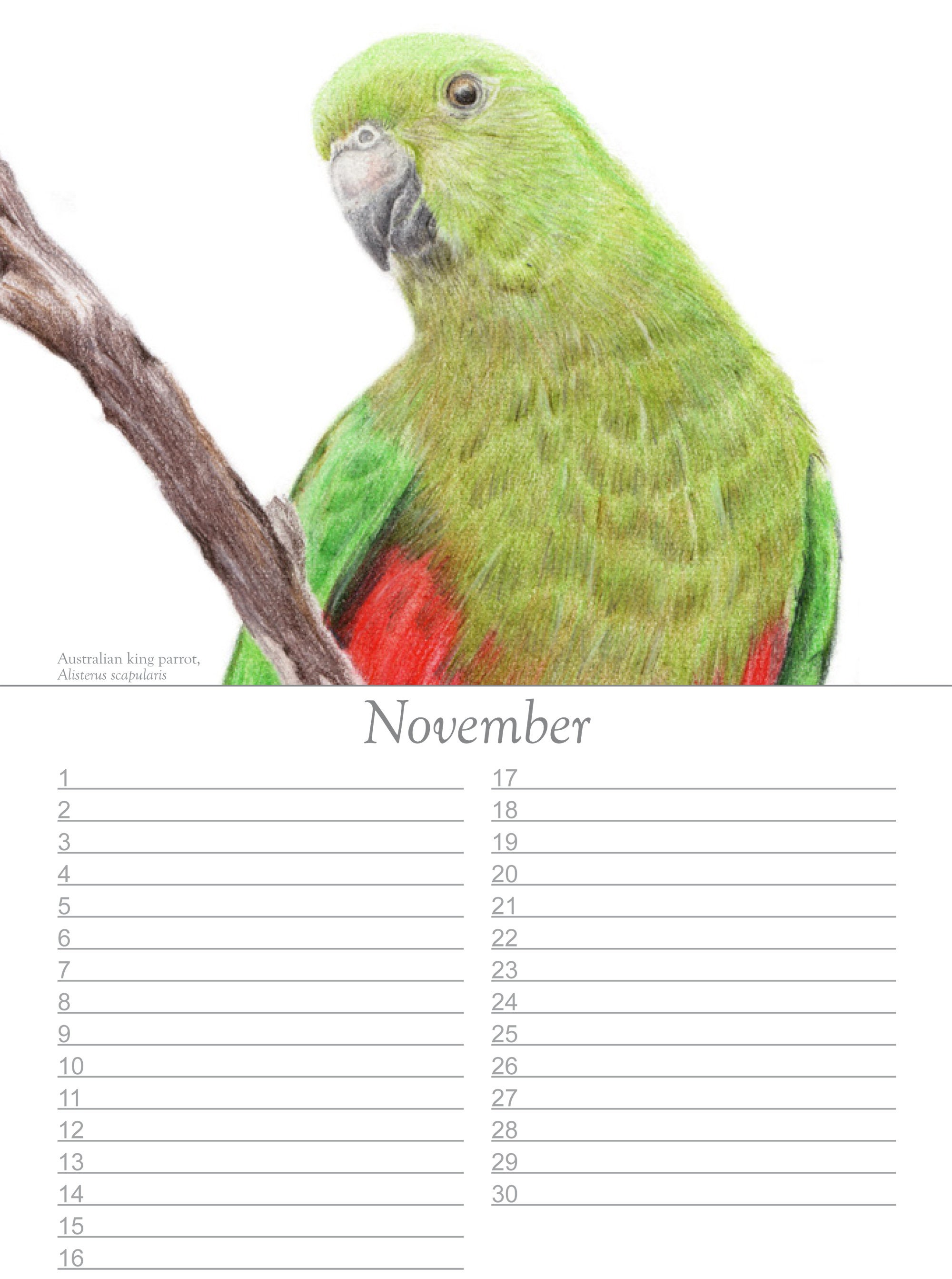 Australian Birds Perpetual Calendar - Etsy Australia