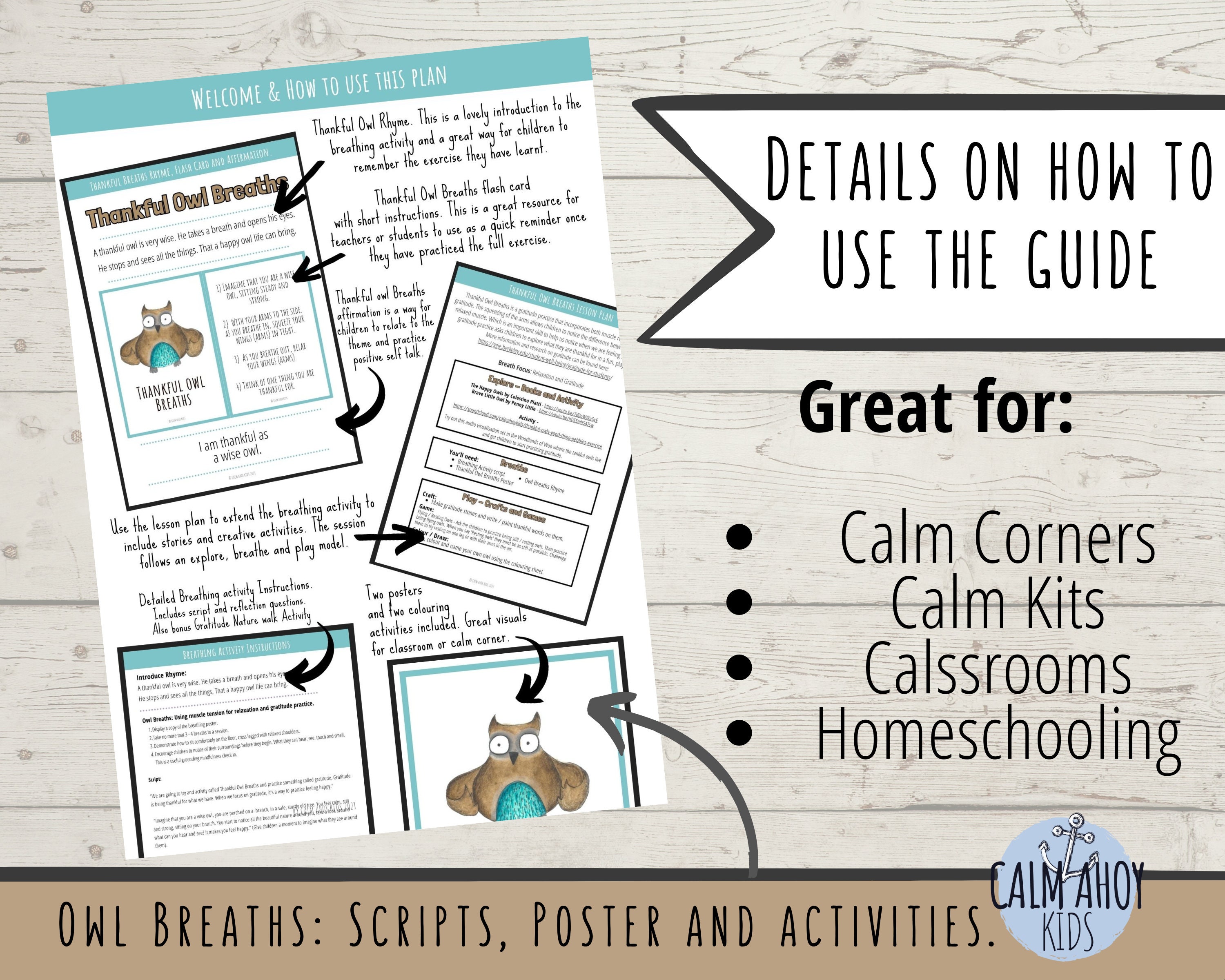 Learning & School Toys & Games Owl Breaths a Mindful Breathing Exercise ...