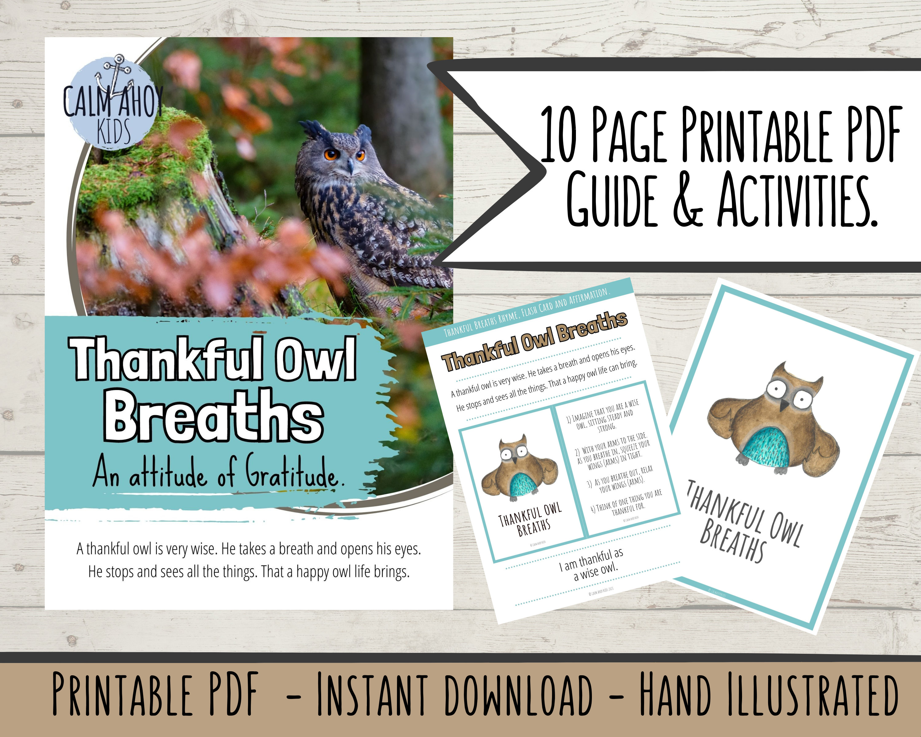 Learning & School Toys & Games Owl Breaths a Mindful Breathing Exercise ...